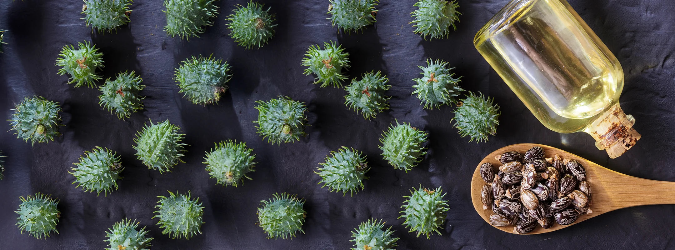 Compelling Castor: unlocking thick and healthy – Botanic Hearth